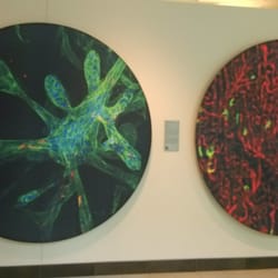 MIT BUILDING 76 - KOCH INSTITUTE FOR INTEGRATIVE CANCER RESEARCH - 10 ...