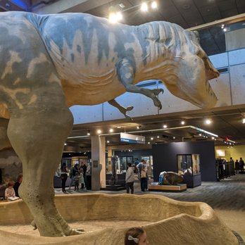 MUSEUM OF SCIENCE - Updated June 2024 - 1408 Photos & 775 Reviews - 1 ...