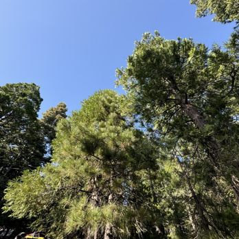 DOGWOOD FAMILY CAMPGROUND - Updated November 2025 - 239 Photos & 201 ...