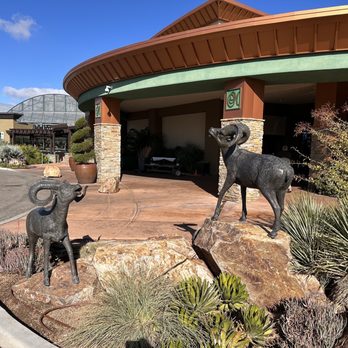 MESQUITE VALLEY GROWERS NURSERY - Updated December 2025 - 635 Photos ...