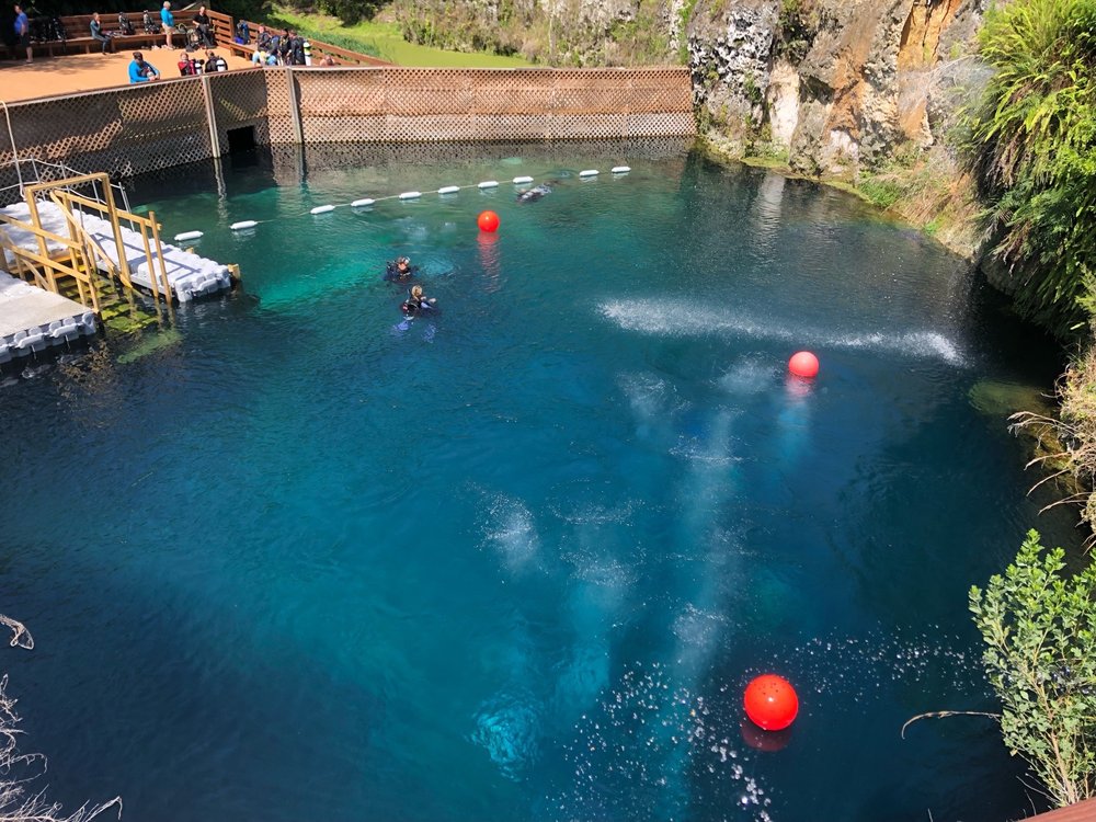 ATHENS SCUBA - Updated May 2026 - 1545 S Bishop Farms Pkwy ...