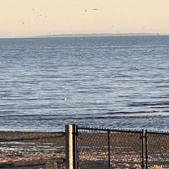 RIPTIDE RESTAURANT & BAR - Updated May 2025 - 103 Photos & 140 Reviews ...