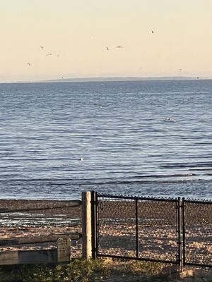 RIPTIDE RESTAURANT & BAR - Updated October 2025 - 111 Photos & 150 ...