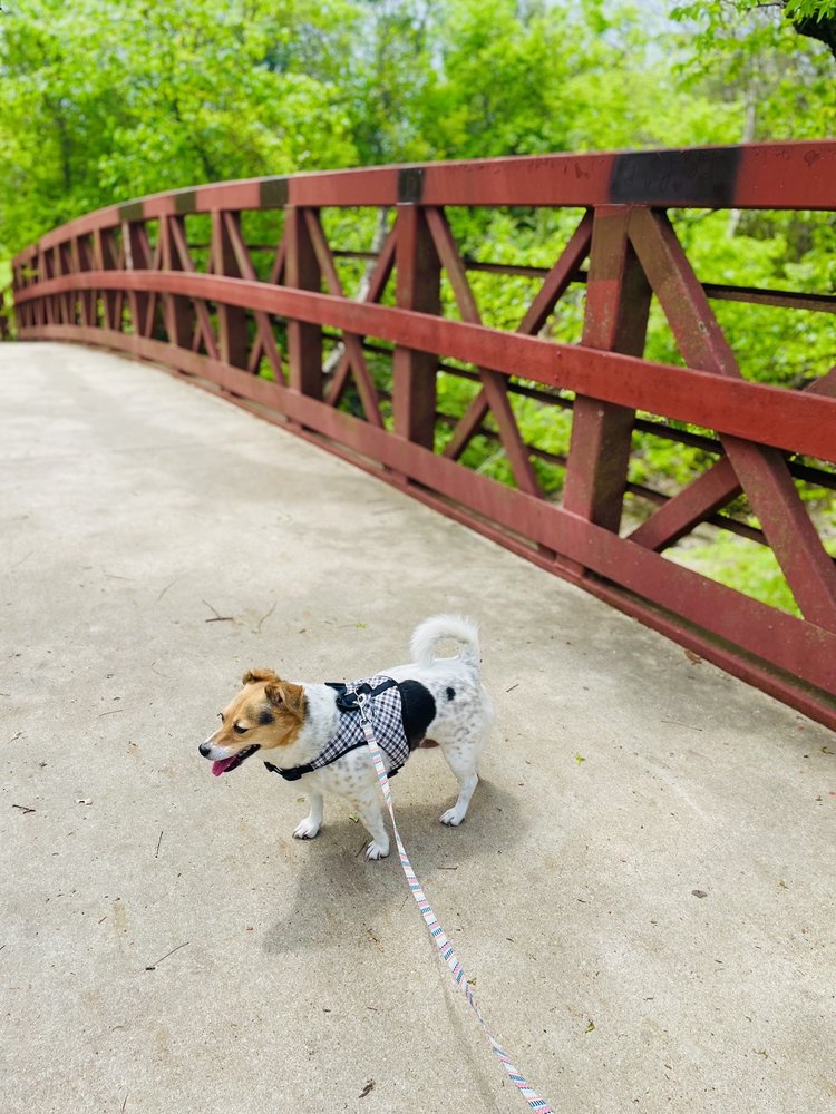 DITTMAR RECREATION CENTER - Updated November 2025 - 16 Photos & 17 ...