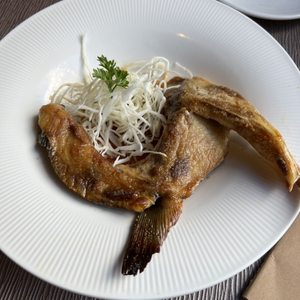 DOZO SUSHI AND HIBACHI RESTAURANT - Updated August 2024 - 26 Photos ...