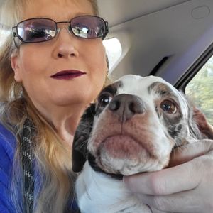 SPINE TEAM - Updated January 2026 - 11 Photos & 14 Reviews - 510 E Holland Ave, Spokane ...