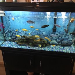 SUN SHUI ASIAN CUISINE - Updated December 2025 - 148 Photos & 218 ...