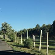 7N RANCH RESORT - 25 Photos - 5109 E 7N Ranch Rd, Ririe, Idaho ...