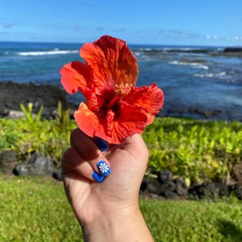 TUBI NAILS - Updated September 2025 - 145 Photos & 124 Reviews - 5932 W ...