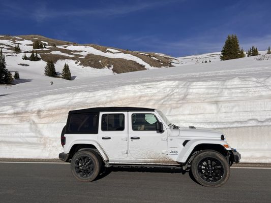 FOX RENT A CAR - Updated December 2025 - 493 Photos & 2509 Reviews ...