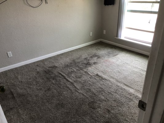 WORLD CLASS CARPET CLEANING - Updated July 2025 - 196 Photos & 475 ...