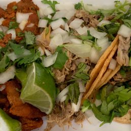 PRIMO FOODS - Updated July 2025 - 317 Photos & 373 Reviews - 606 Morse ...