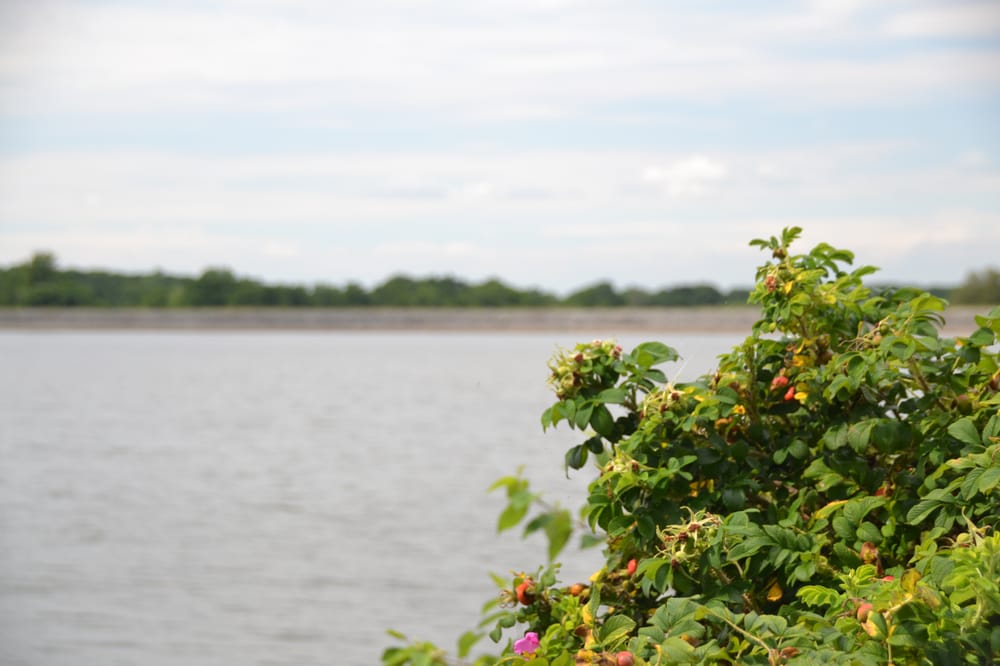 JEZIORO TURAWSKIE - Updated June 2025 - Turawa, Poland - Lakes - Yelp