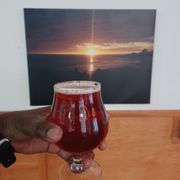 SOLORIO BREWING COMPANY - 361 Photos & 87 Reviews - 9395 Feron Blvd ...