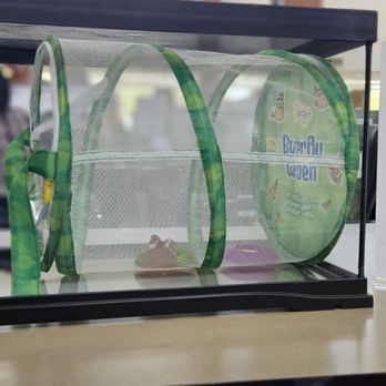 SURPRISE REGIONAL LIBRARY - Updated December 2025 - 80 Photos & 29 ...