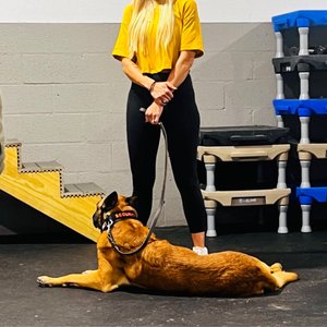 SEASIDE PUPS - Updated August 2025 - 5544 Cynthia Ln, Naples, Florida ...