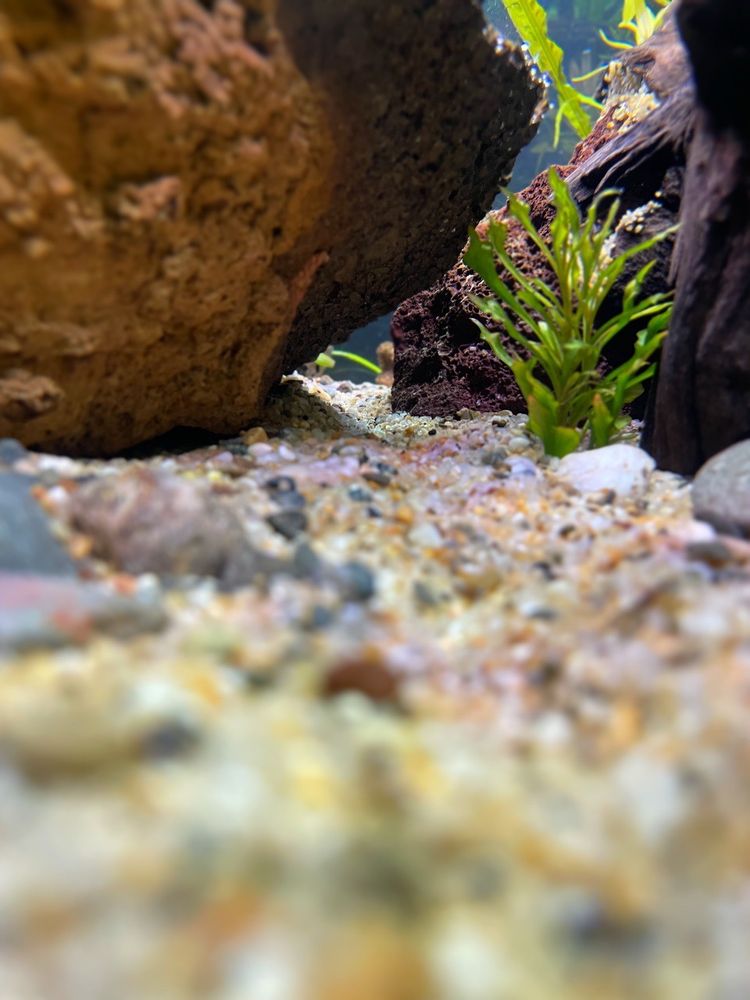 CK FISH WORLD - 393 Photos & 402 Reviews - 541 North Azusa Ave, West ...