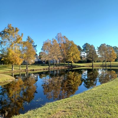 WATERFORD LAKES COMMUNITY ASSOCIATION - Updated November 2024 - 124 ...