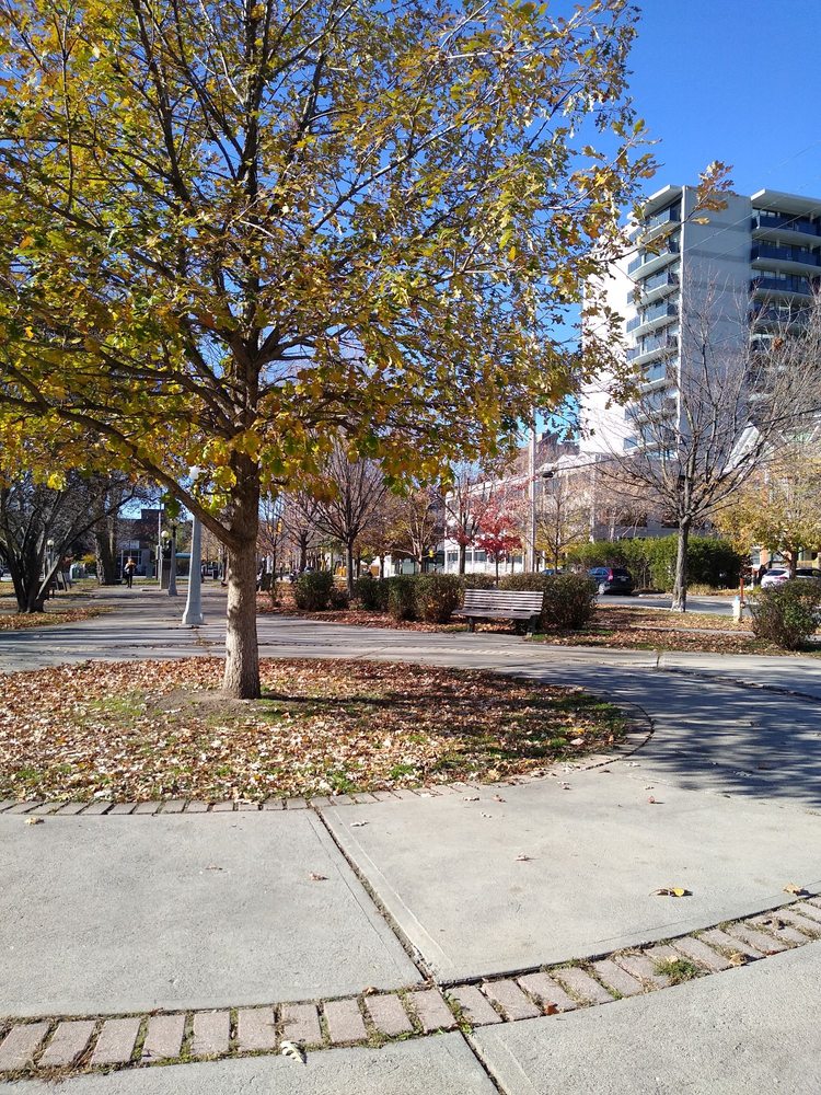 MINTO PARK - Updated October 2024 - 102 Lewis Street, Ottawa, Ontario ...