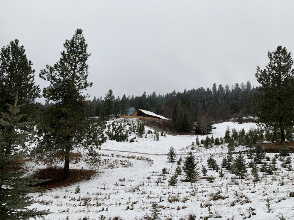 HOLLY LANE TREE FARM - 14012 N Norman Rd, Spokane, Washington ...