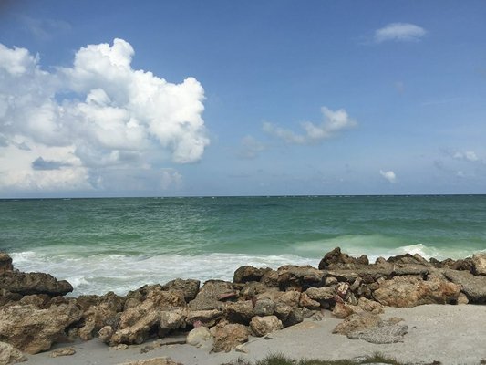 MANATEE MEMORIAL HOSPITAL - Updated January 2026 - 30 Photos & 98 ...