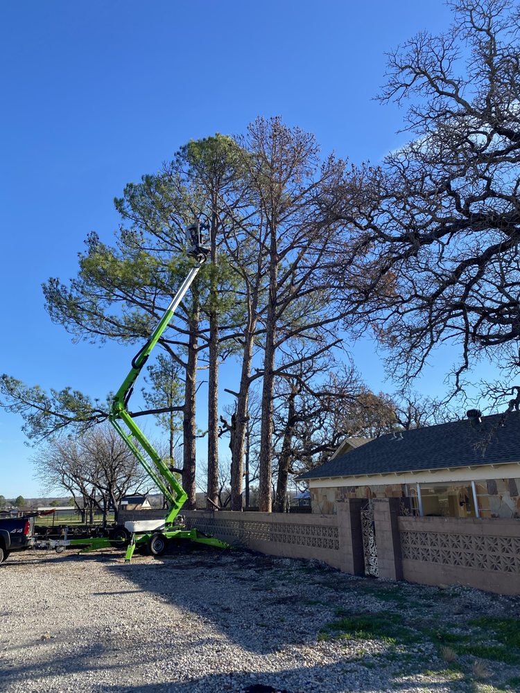 STEVE’S TREE SERVICE - Updated October 2025 - 11 Photos - 234 Kickapoo ...