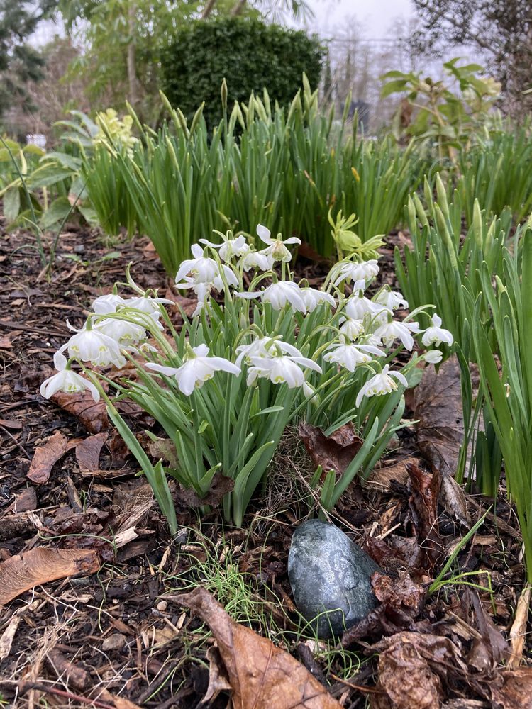 DIG DEEP - Updated December 2025 - 19028 Vashon Hwy SW, Vashon ...