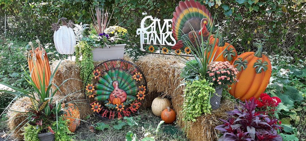 FLORA PARK GARDEN CENTER - Updated May 2025 - 16 Photos & 11 Reviews ...