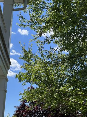 ARTERIX PEST CONTROL - Updated December 2025 - 36 Photos & 223 Reviews ...