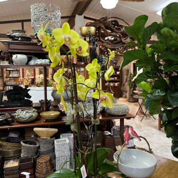 RF ORCHIDS - Updated November 2025 - 652 Photos & 76 Reviews - 28100 SW ...