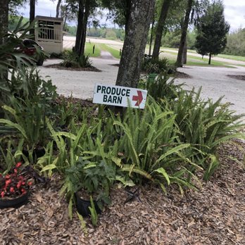 BEASLEY FARM - Updated October 2025 - 41 Photos & 16 Reviews - 10137 ...