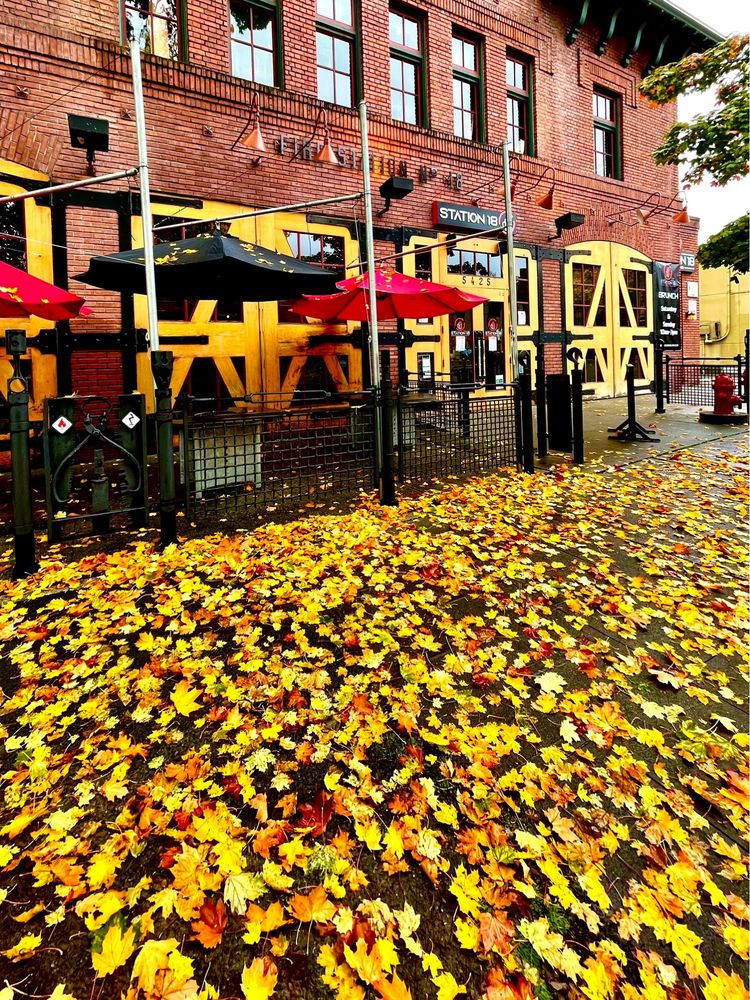 SEATTLE FIRE STATION 18 - Updated November 2025 - 17 Photos - 1521 NW ...