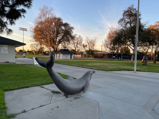 DOLPHIN PARK - Updated January 2025 - 62 Photos & 19 Reviews - 21205 ...