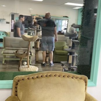 MOCHAS AND MEOWS - Updated July 2024 - 121 Photos & 68 Reviews - 3265 ...