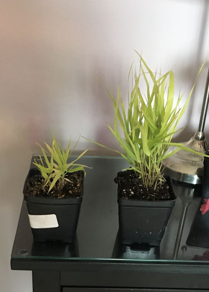 GILBERT H WILD & SON - Updated July 2025 - 10 Reviews - 3044 State ...