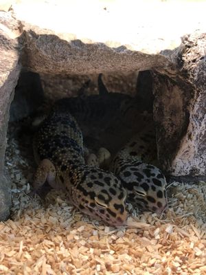 PERRIS MINI MALL - Updated December 2025 - 50 Photos & 17 Reviews ...