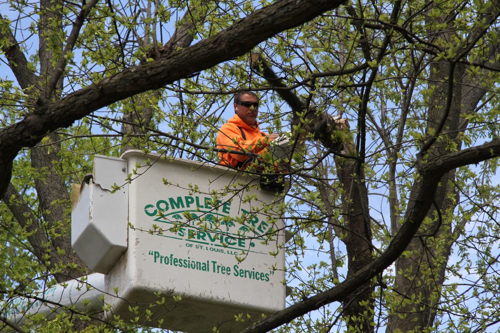COMPLETE TREE SERVICE OF ST LOUIS - Updated March 2025 - 20 Photos & 12 ...