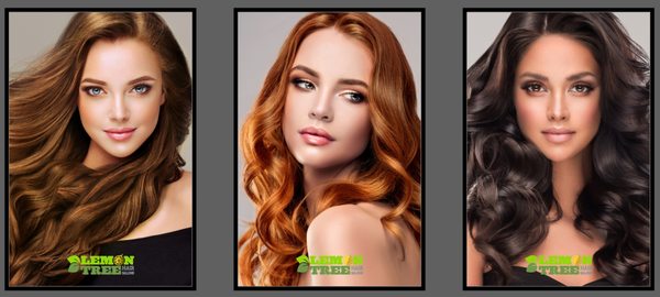 LEMON TREE HAIR SALON OF SUSSEX - Updated October 2025 - 40 Photos & 11 ...