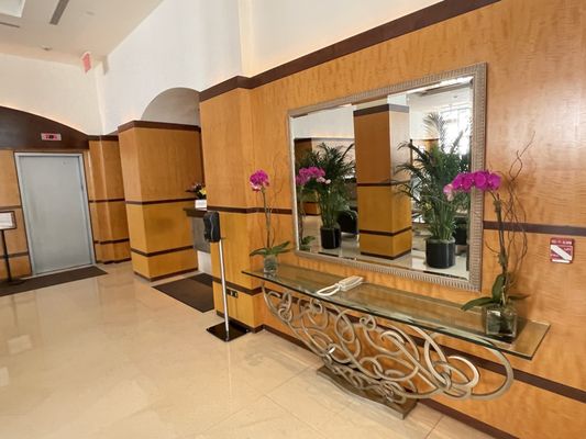 HOTEL GIRAFFE - Updated December 2025 - 205 Photos & 226 Reviews - 365 ...