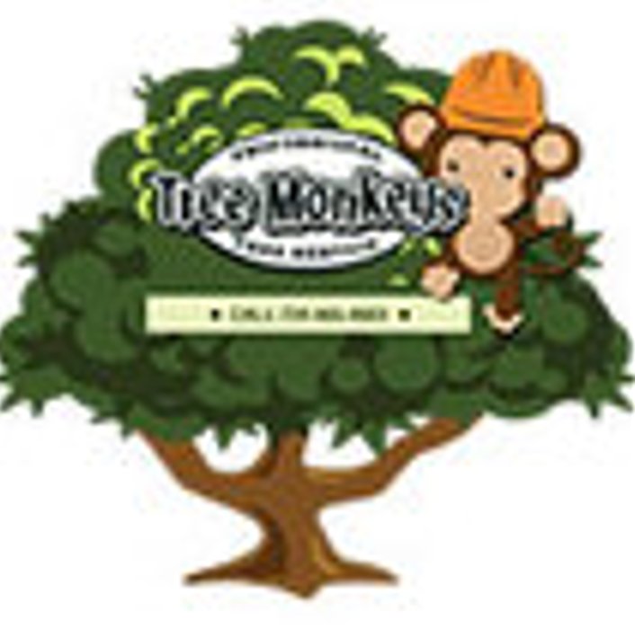 TREE MONKEYS TREE SERVICE - Updated October 2025 - 170 College Lodge Rd ...