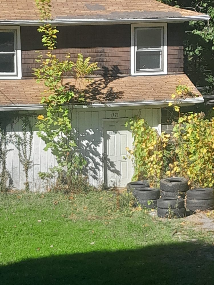 RENT A HANDYMAN - Updated January 2025 - Request a Quote - Rochester ...