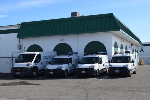 CELTIC PEST CONTROL - Updated September 2025 - 47 Photos & 41 Reviews ...