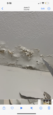 WILLOW CROSSING - Updated December 2025 - 71 Photos & 14 Reviews - 1031 ...