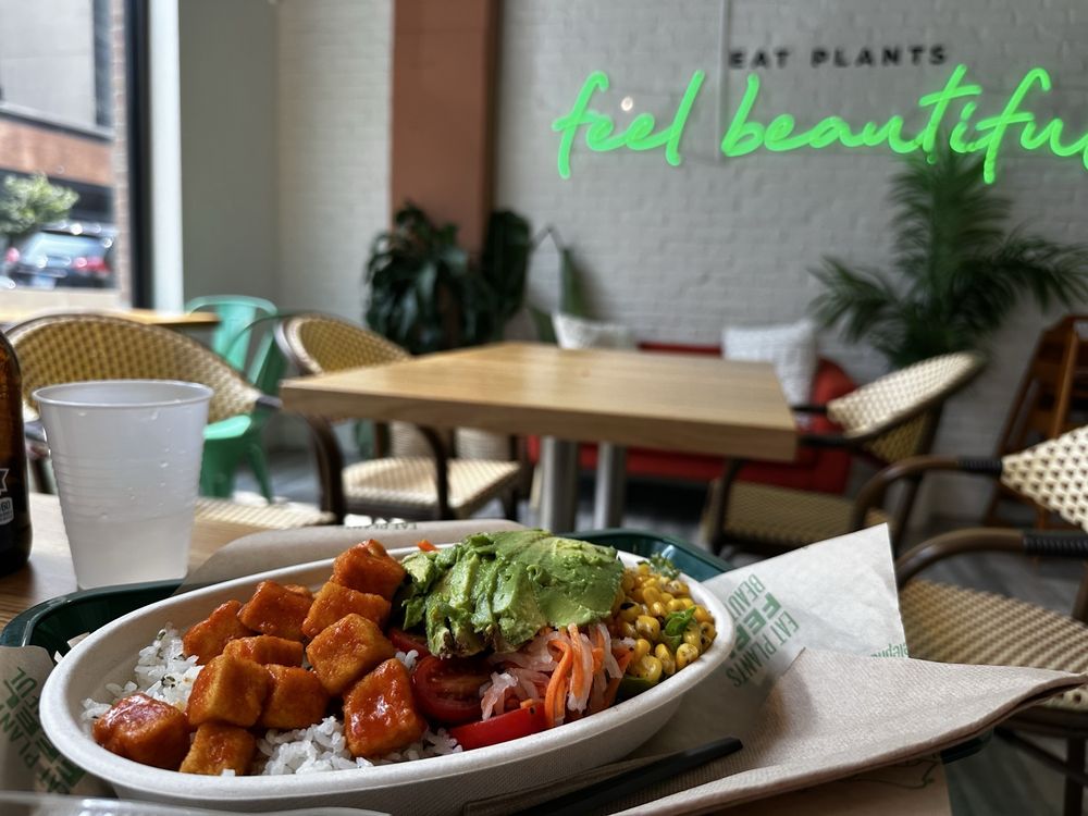 ELEPHANT + VINE - Updated July 2025 - 114 Photos & 78 Reviews - 2315 N ...