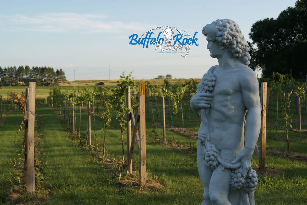 BUFFALO ROCK WINERY - Updated June 2024 - 12 Reviews - 4527 23rd St SE ...