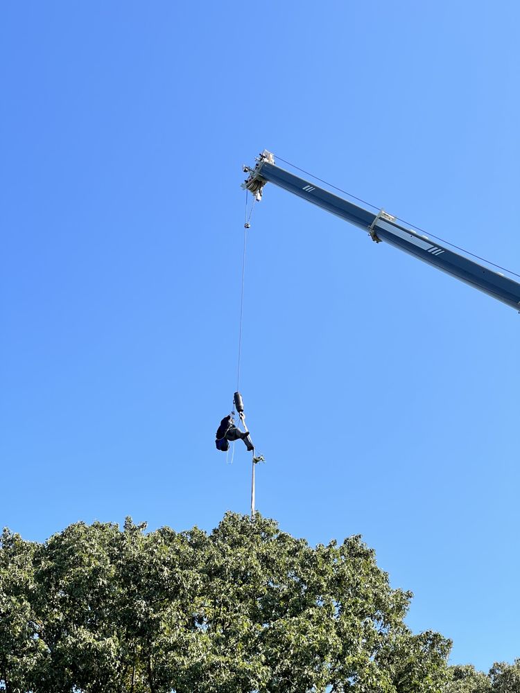 HLA TREE SERVICES - Updated February 2025 - Request a Quote - 12 Photos ...