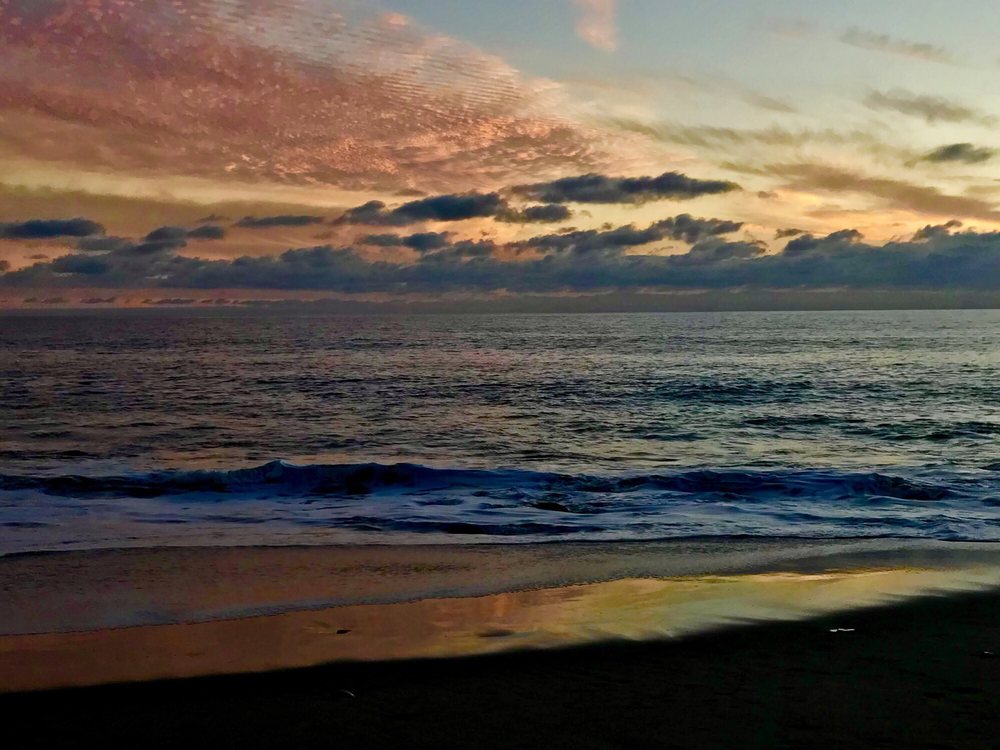 OC LIFEGUARDS - Updated January 2025 - 34127 Pacific Coast Hwy, Dana ...