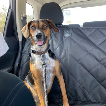 TRI-COUNTY HUMANE SOCIETY OF BOCA RATON - Updated October 2025 - 39 ...