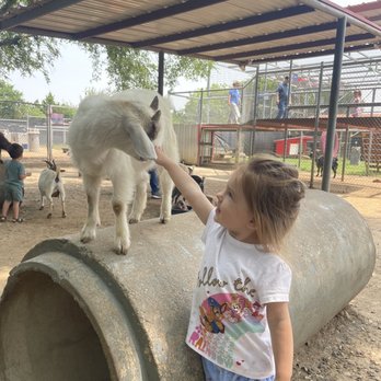 SHARKAROSA WILDLIFE RANCH - Updated January 2026 - 312 Photos & 136 ...