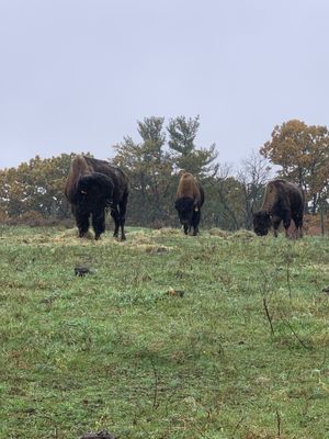 TREXLER NATURE PRESERVE - Updated October 2024 - 62 Photos & 25 Reviews ...